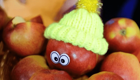 Funky fruit facts for your health - ThirdLeaf NW